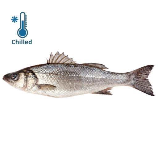 Wild Line Caught Sea Bass - Seafood Society