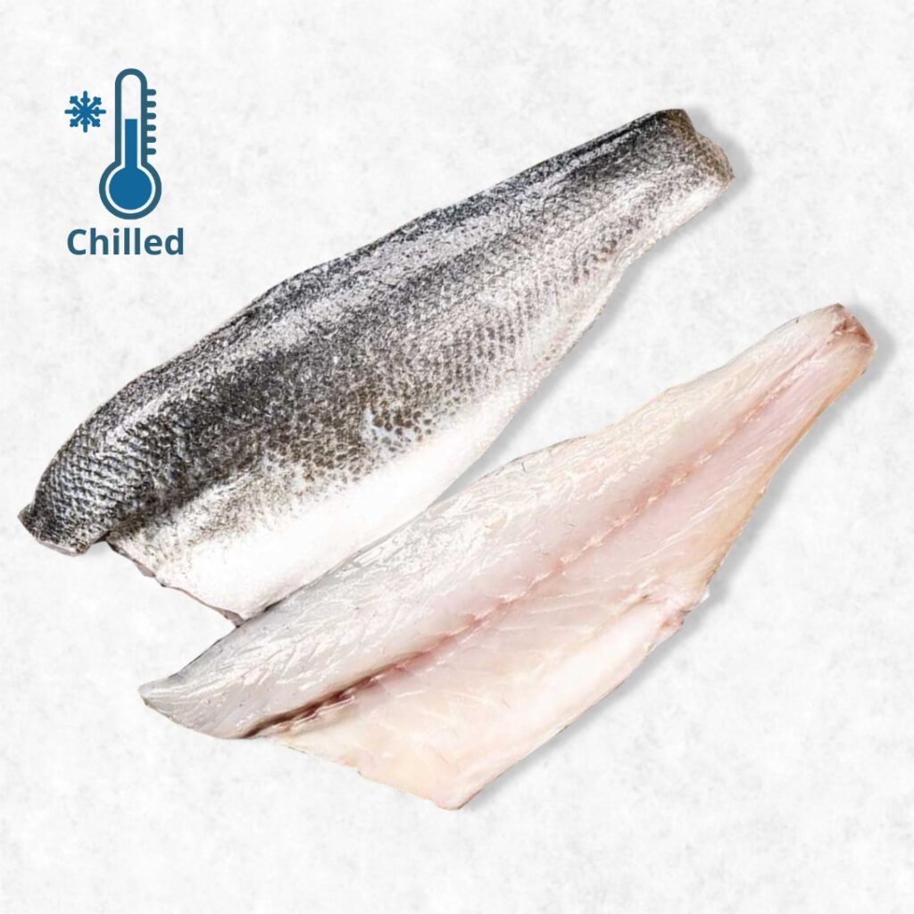 Sea Bass Archives - Seafood Society